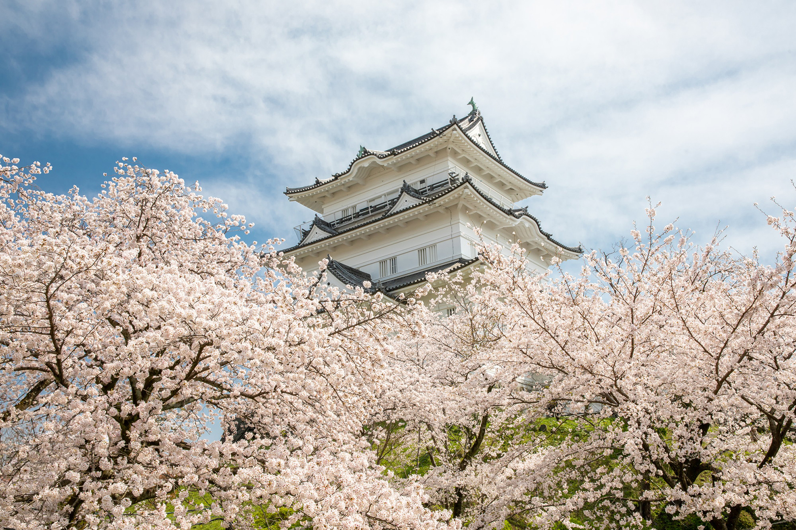 Explore Japan Virtually: Tour Odawara Castle + Fuma Ninja Experience ...
